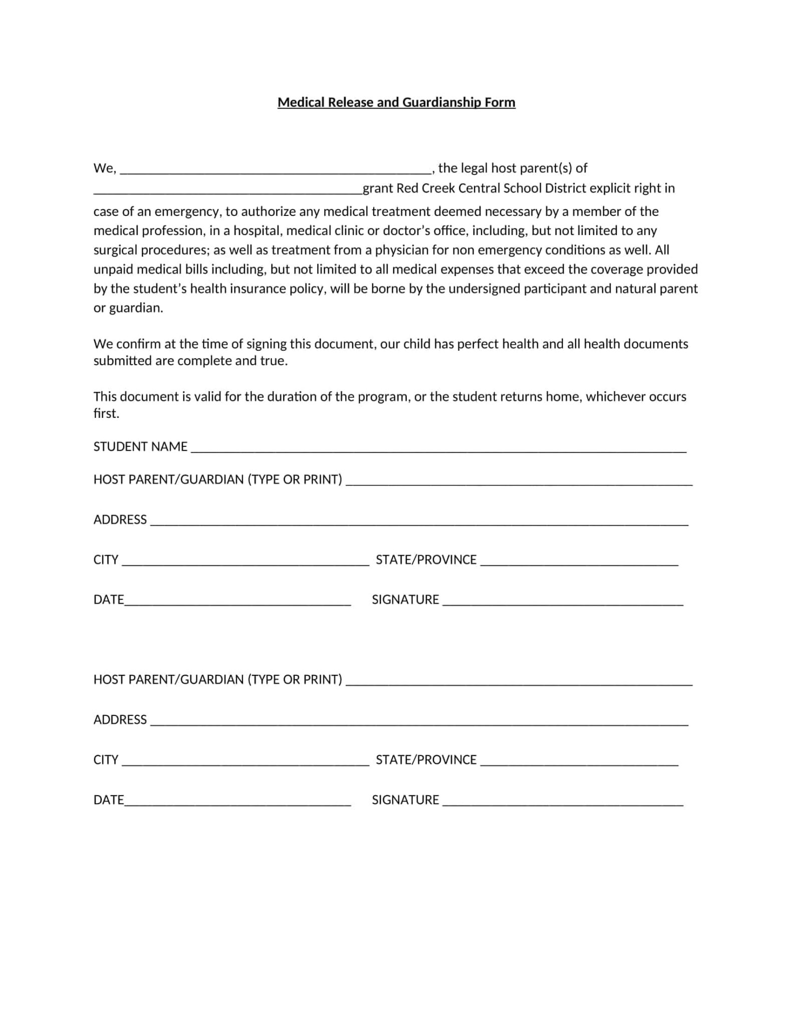 Printable Legal Guardianship Forms PDF: Your Comprehensive Guide - We ...